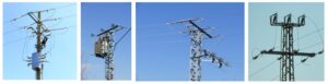 Quick Guidance Preventing Electrocution on Birds – Bird Electrocution
